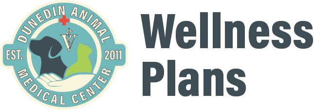 Are Pet Wellness Plans Worth It? - Dunedin Animal Medical Center
